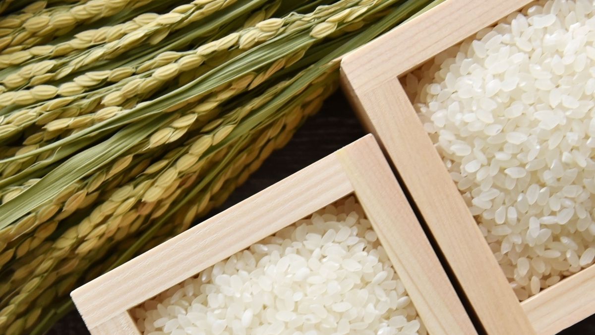 (3ページ目)冷やご飯はダイエットにぴったり!?豊富な食物繊維が腸内環境を改善!雑穀やもち麦を取り入れておいしく糖質制限しよう 正しい糖質制限を。雑穀やもち米のレシピを紹介|健康|婦人公論jp